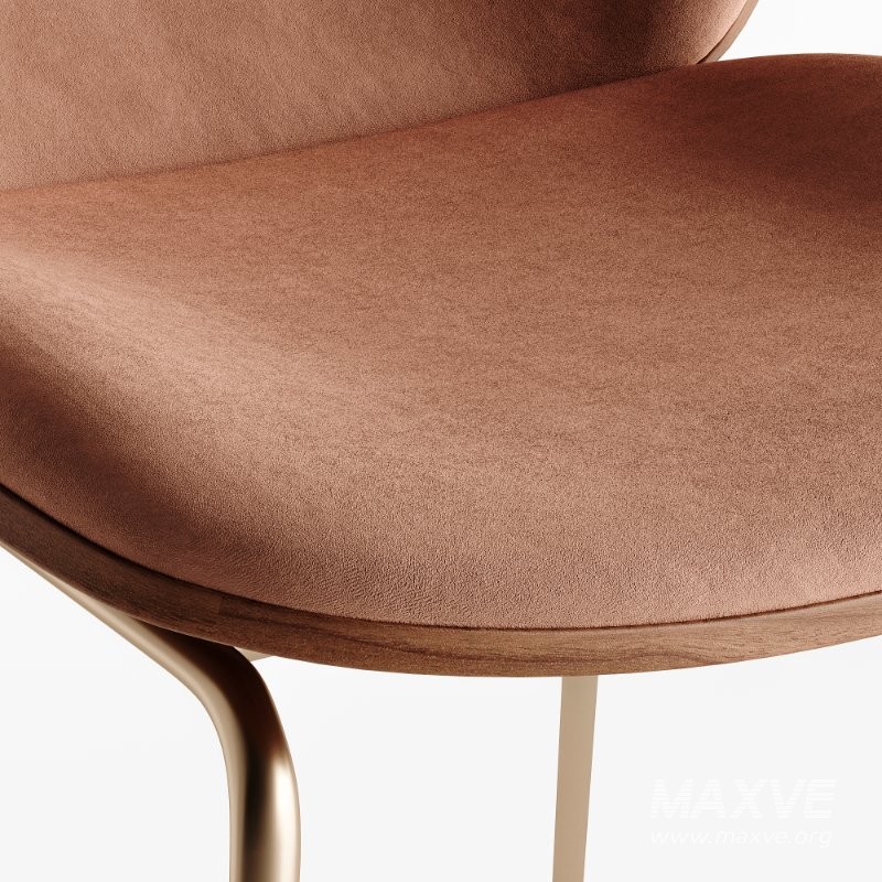 Beetle Dining Chair 3D model Maxve