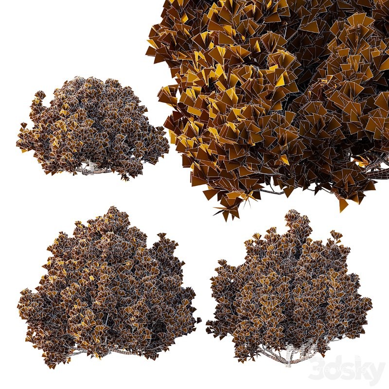 Pinus Mugo Bush 007 3D model Maxve