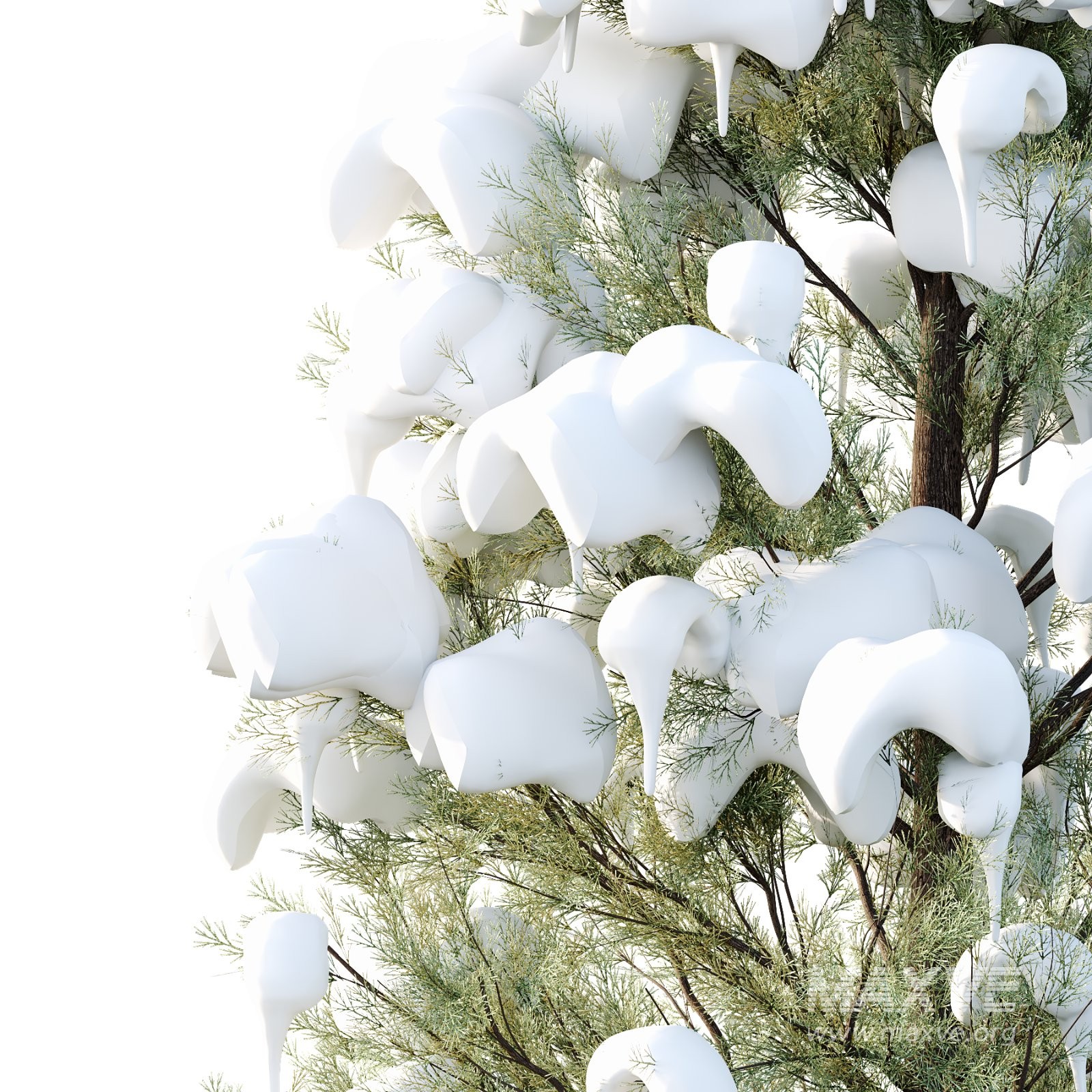 Eastern Red Cedar Winter Tree 01 3D model Maxve